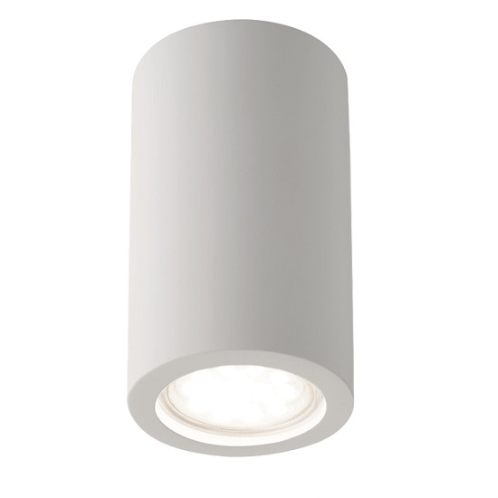 Cylinder Flush Ceiling Light