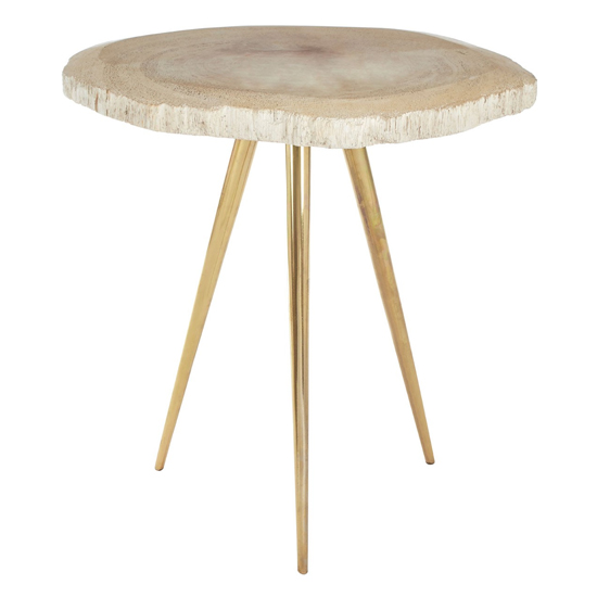 Relics Rectangular Petrified Wooden Side Table With Silver Legs | FiF